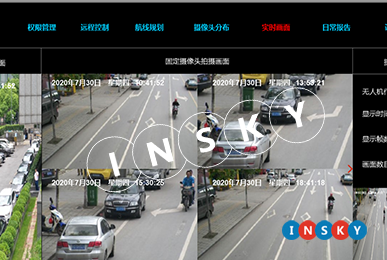 INSKY 狮尾智能
